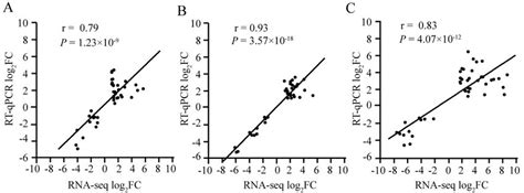 rt qpcr validation of rna seq results validation of gene expression