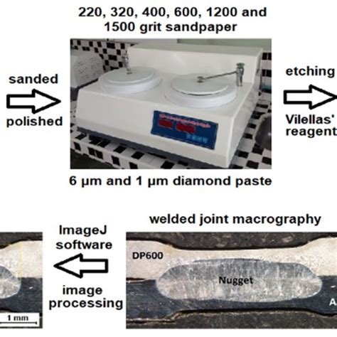 Diagram Of The Procedure For Sample Preparation And Macrostructural