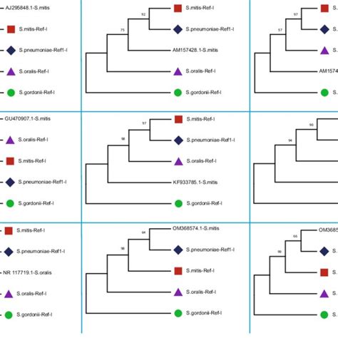 Phylogenetic Tree Constructed Using Concatenated 16s Rrna Approach The