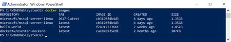 running microsoft sql server on a linux container in docker