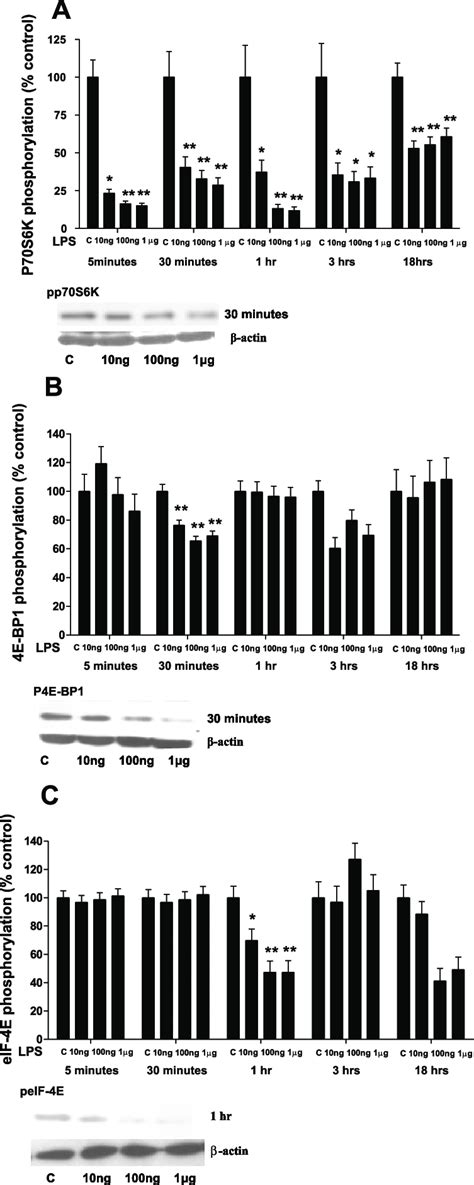 Time And Dose Dependent Effects Of Lps 10 Ng Ml 100 Ng M And 1 G Ml