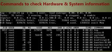 Commands To Check System And Hardware Information Linuxtechlab