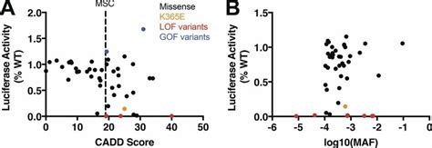Functional Activity Of Population Level Missense Variants In Ifih1 A