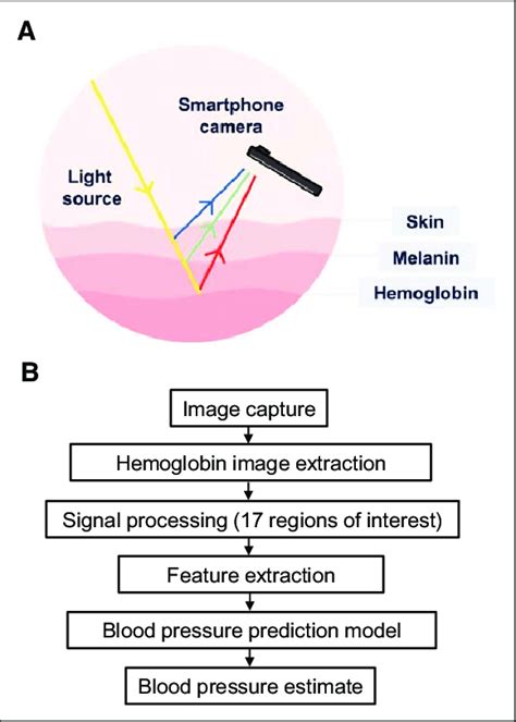 Schematic Of Transdermal Optical Imaging A In Transdermal Optical