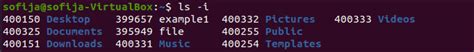 19 crucial linux ls commands to know {with examples and images}
