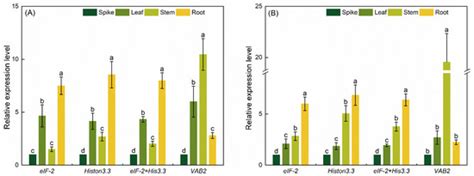 Genes Free Full Text Systematic Identification And Validation Of