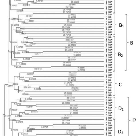 Unweighted Pair Group Method With Arithmetic Mean Clustering Upgma