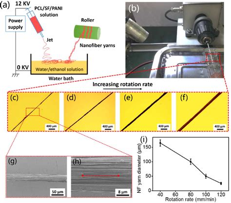 Nanofiber Yarn Hydrogel Core Shell Scaffolds Mimicking Native Skeletal