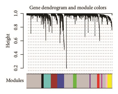 Coexpression Modules Revealed By Weighed Gene Co Expression Network