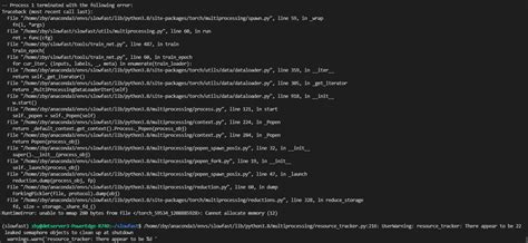runtimeerror unable to mmap 280 bytes from file cannot allocate