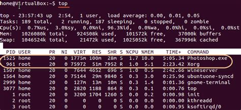 linux unix process management ps kill top df free nice commands