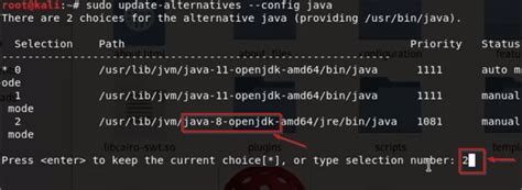 fix the vega installing errors in kali linux