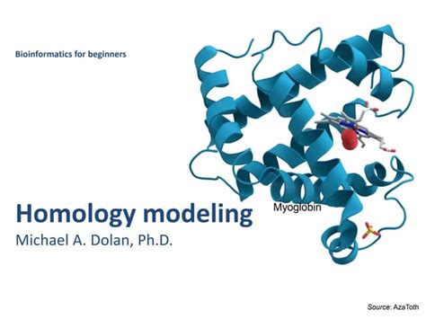Intro To Homology Modeling Ppt