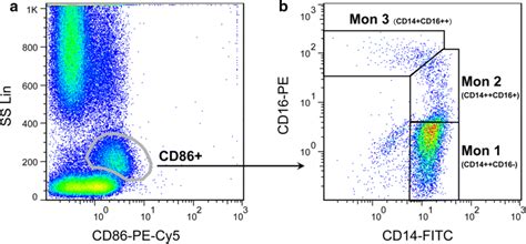 Gating Strategy For Circulating Monocyte Subset Flow Cytometry
