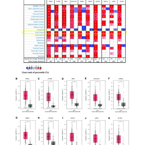 The Expression Of The Hub Genes Was Validated In Hcc Tissues A The