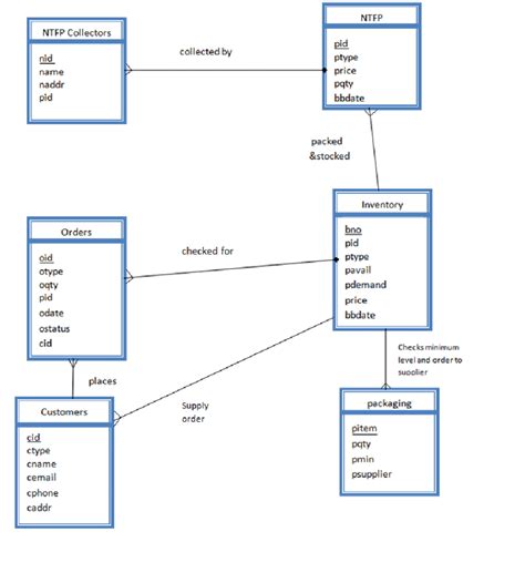 database entity diagram