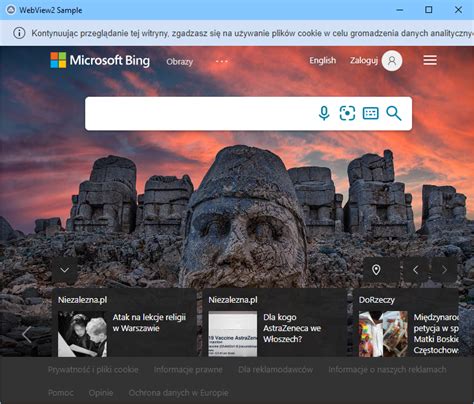 microsoft edge webview2 embed web code in your native