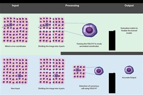 Cancer Cell Tissue Detection Using Computer Vision In Healthcare