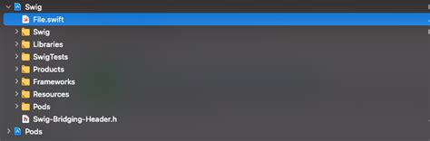 ios issue building react native project in xcode error