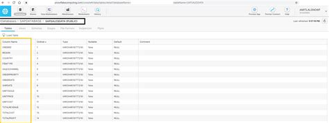 pushing sap data in snowflake using azure data factory a