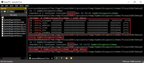 diagnosing debugging symbol load errors for linux applications