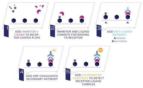 Ligand Binding Assays Raybiotech
