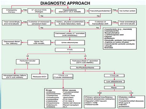 Hyperkalemia Diagnostic Algorithm Decreased Renal Gre
