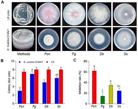Jof Free Full Text The Extracellular Lipopeptides And Volatile