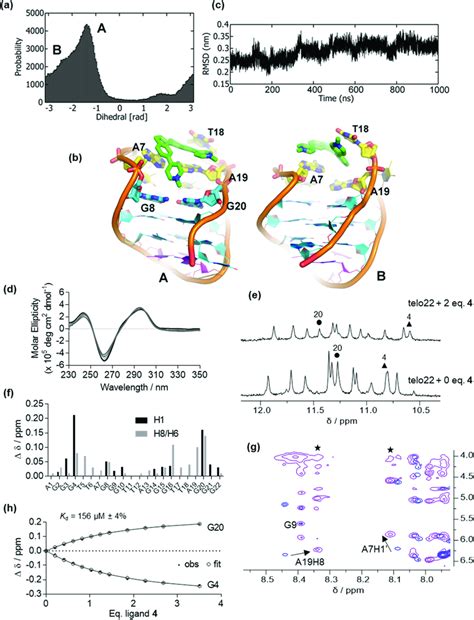Binding Of Ligand 4 To Antiparallel Telo22 Investigated By Md