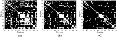 Binary Gray Scales Of Correlation Coefficient Matrices A P 375 B