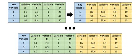 how to match two data frames in r