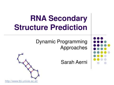 Ppt Rna Secondary Structure Prediction Powerpoint Presentation Id