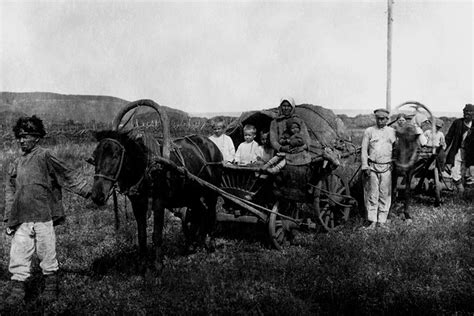 La Colectivización De La Urss O La Destrucción Del Campesinado Ruso