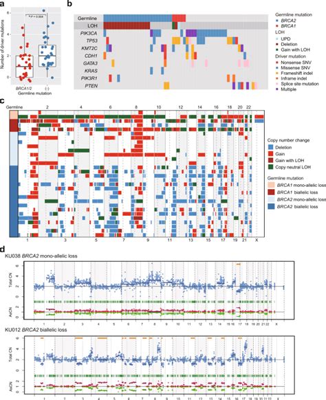 Genetic And Clinical Landscape Of Breast Cancers With Germline Brca1 2