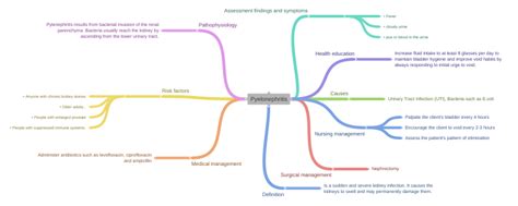 pyelonephritis nursing management encourage the client to void every 2 3…
