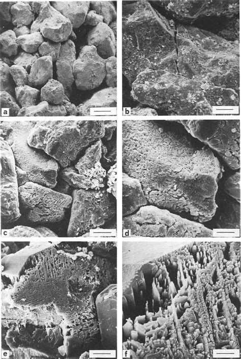 Scanning Electron Micrographs Of The Porosity System In Piper Formation