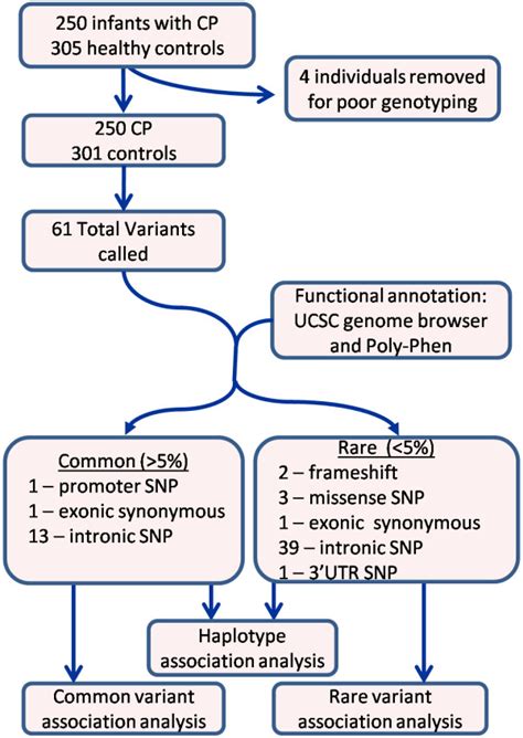 Experimental Design Experimental Workflow Sample Sizes Number And