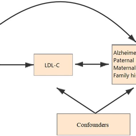 Schematic Representation Of A Mendelian Randomization Mr Analysis We