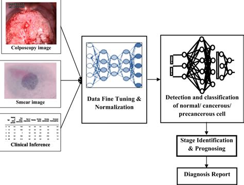 A Deep Learning Based Method For Cervical Transformation 40 Off