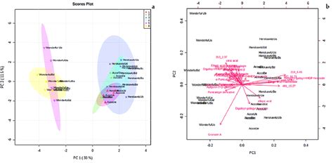 A Principal Component Analysis Pca Score Plot Showing Variation Of
