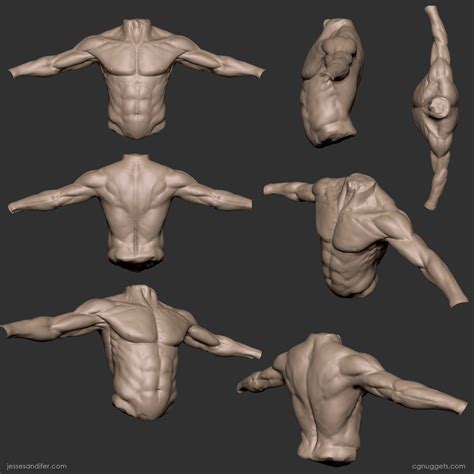Sandpipers Sketchbook Ii Page 3 Human Anatomy Drawing Body
