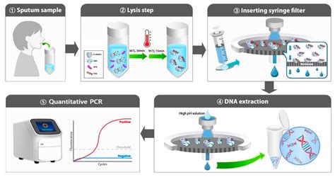 Biosensors Free Full Text Multicenter Testing Of A Simple Molecular