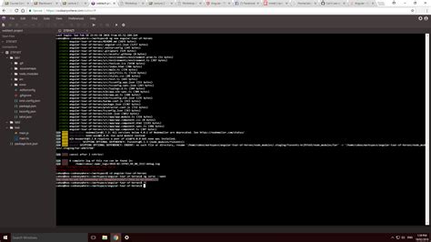 npm angular codeanywhere you seem to not be depending on