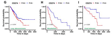 Survival Analysis For Cd274 Gene Expression And Glycolysis Gene