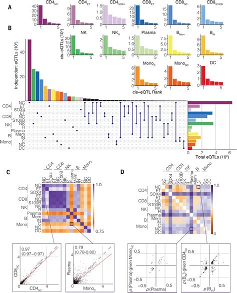 Single Cell Eqtl Mapping Identifies Cell Type Specific Genetic Control