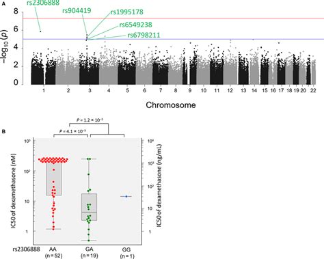 Association Between Inherited Genetic Variants And Sensitivity To