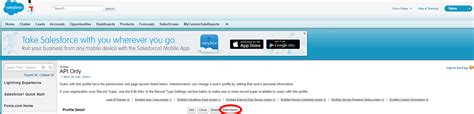 how to create an api integration user in salesforce blog salesscreen