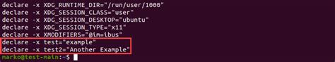 bash export variable {with examples}