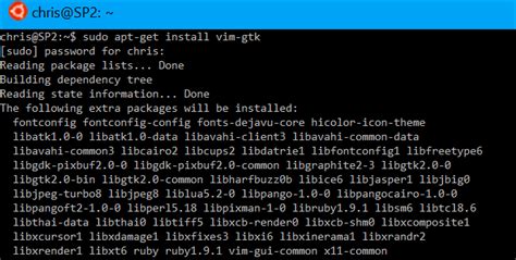 how to run graphical linux desktop applications from windows 10 s bash