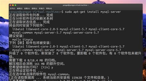 ubuntu apt get安装的mysql忘记了密码，处理办法 志不坚者智不达 博客园